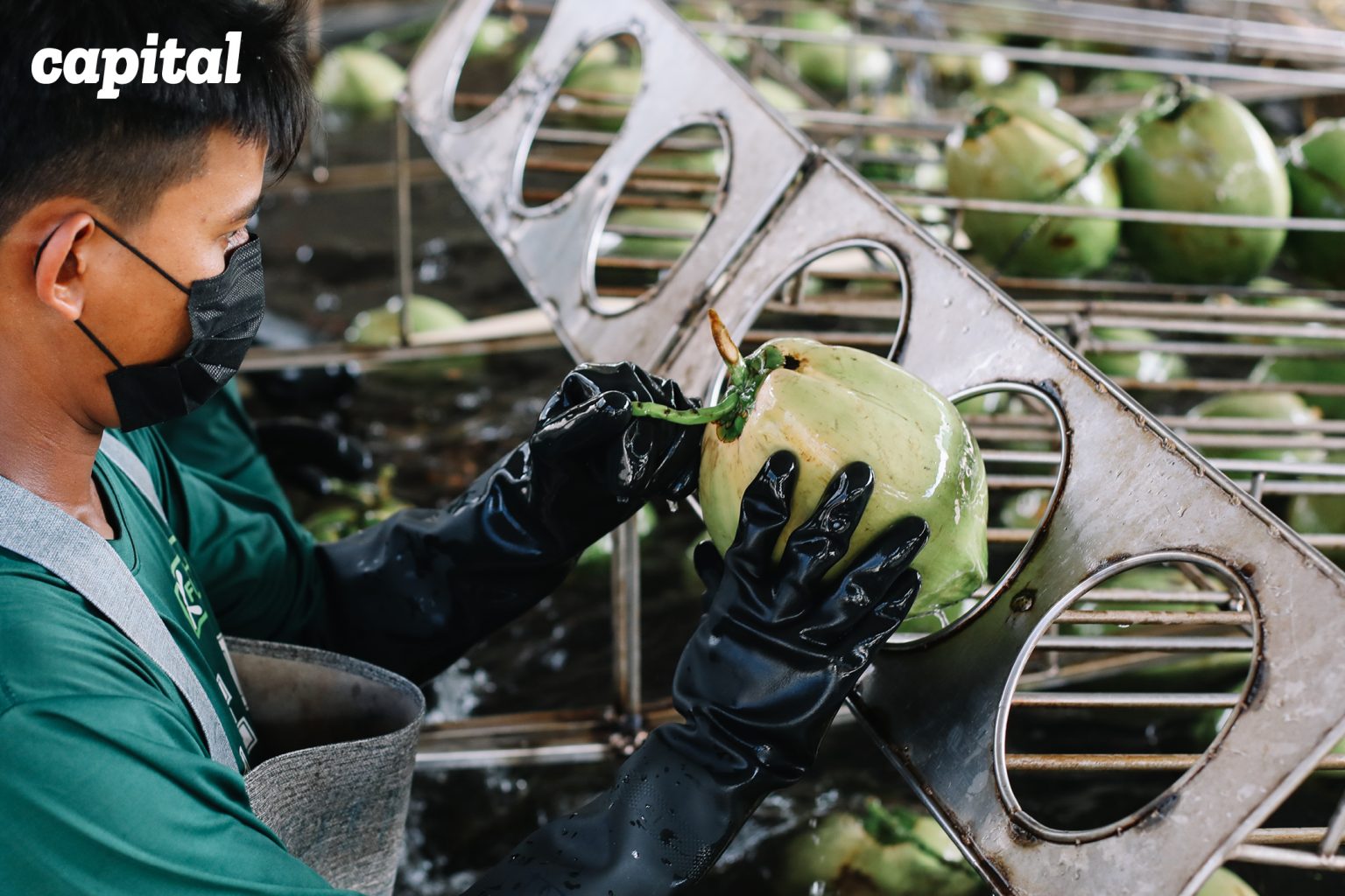 Coco Thumb แบรนด์ที่คิดนวัตกรรมเพื่อให้กินน้ำมะพร้าวจากลูกได้ง่ายๆ ที่ส่งออกราว 10 ล้านลูกต่อปี ...