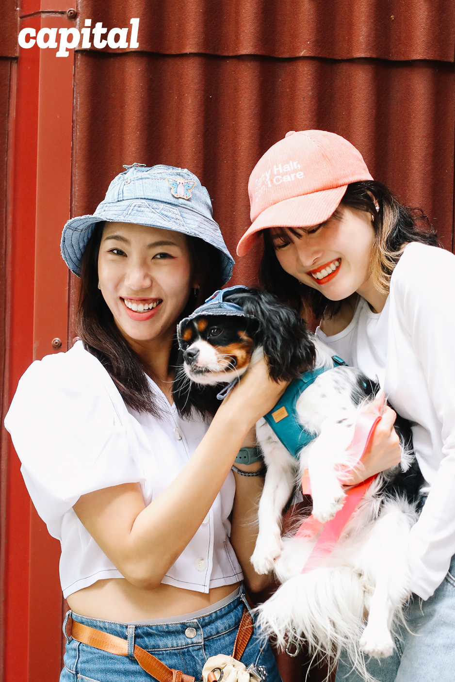 Ready to Woof แบรนด์หมวกคู่ที่อยากให้มะนุด น้องหมา และบรรดาสัตว์เลี้ยง ...