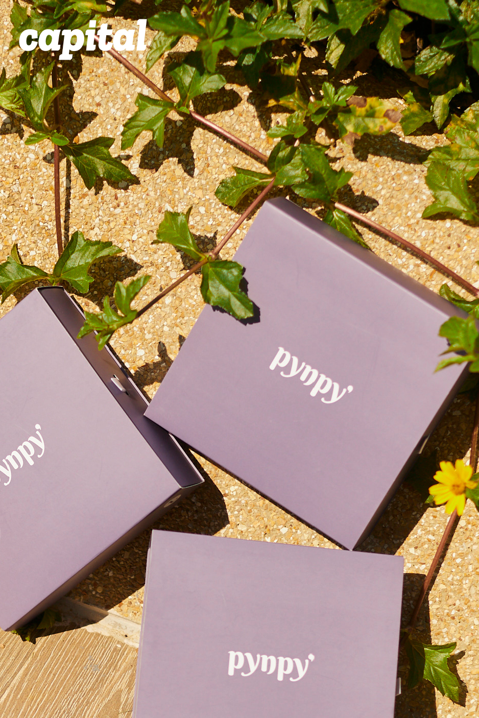 หลัก 4P+1 ของ Pynpy’ กางเกงในอนามัยแบรนด์แรกของไทยที่ใช้แทนผ้าอนามัยได้เลย - Capital