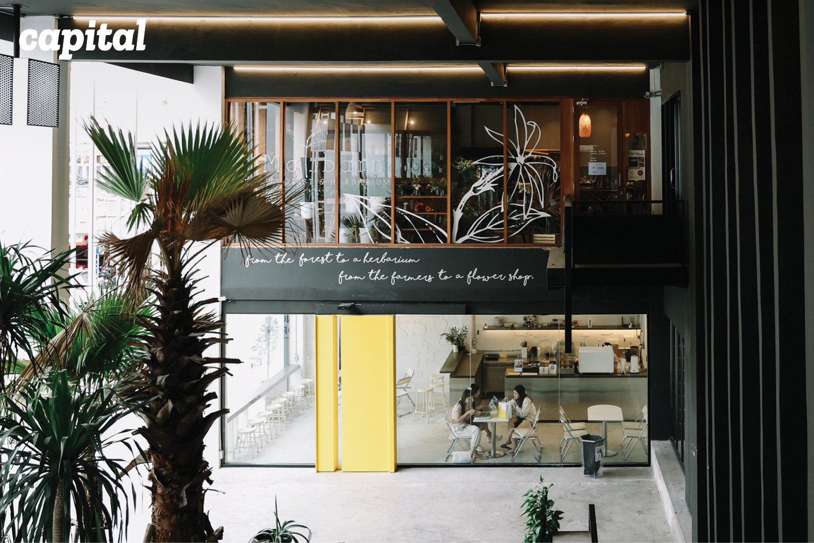 Slowcombo คอมมิวนิตี้สเปซที่อยากสร้างพื้นที่ให้ผู้มาเยือนรักตัวเอง รักผู้อื่น และรักโลก - Capital