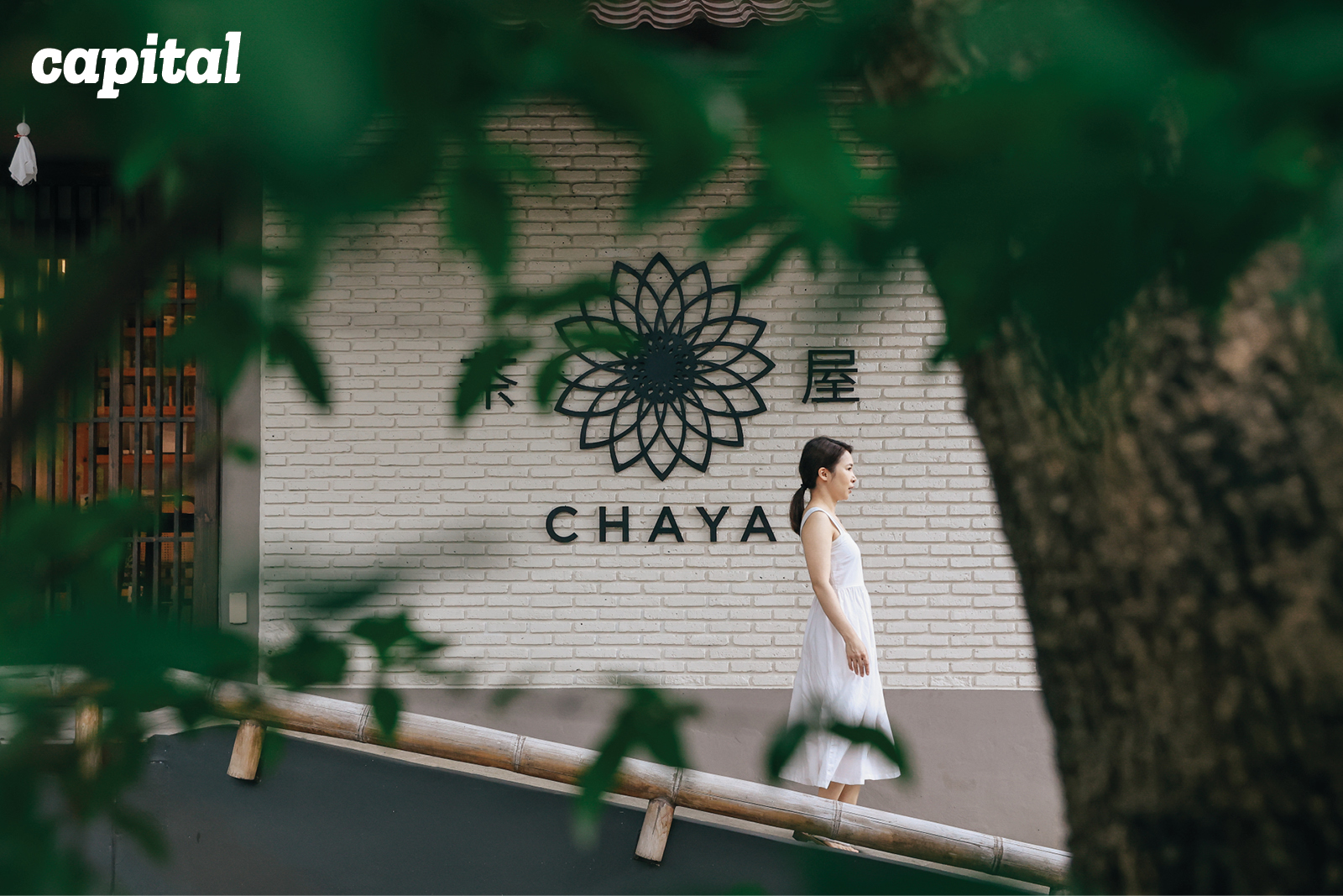 Chaya Teahouse ร้านมัทฉะออร์แกนิกสไตล์ญี่ปุ่นดั้งเดิมโดยคนไทยที่เคยไปฝึกงานที่ไร่ชาถึงญี่ปุ่น ...
