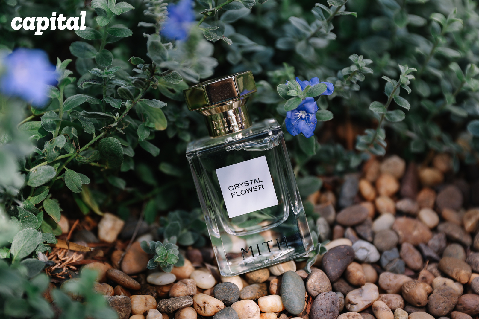 เบื้องหลังจักรวาลน้ำหอมของ MITH แบรนด์น้ำหอมคนไทยที่ได้ร่วมงานกับ ...