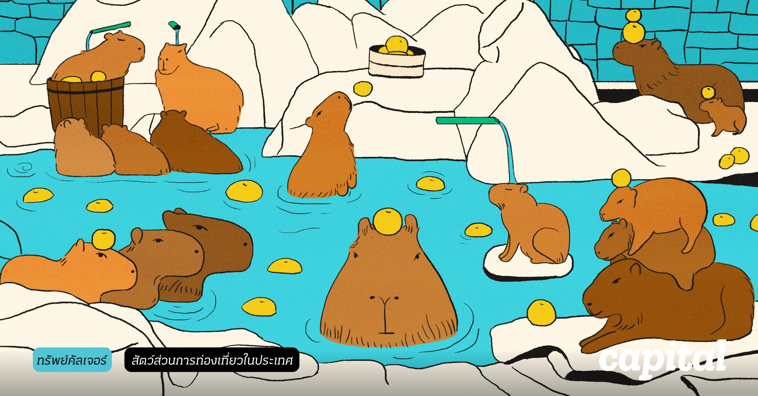 จาก ‘คาปิบาร่าแช่ออนเซน’ สู่งานประจำปีที่ส่งผลกับธุรกิจสวนสัตว์และเศรษฐกิจระดับเมือง - Capital