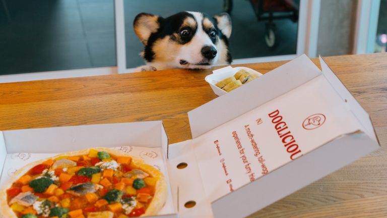 5P ของ Doglicious แบรนด์ขนมสัตว์เลี้ยงของสามเพื่อนซี้ที่หมาแมวกินดี พ่อ ...