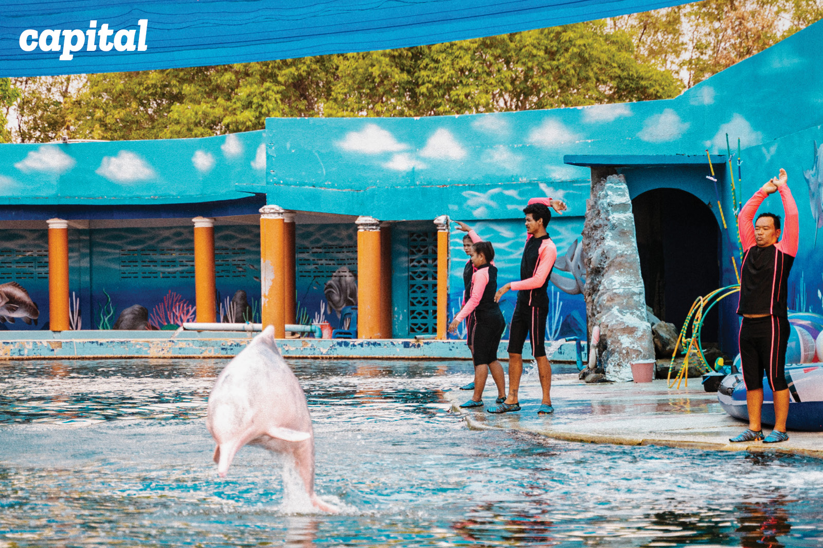 Oasis Sea World จากโลมาติดอวนสู่โชว์โลมาไร้เสียงนกหวีด ที่ใช้ ‘หัวใจ ...