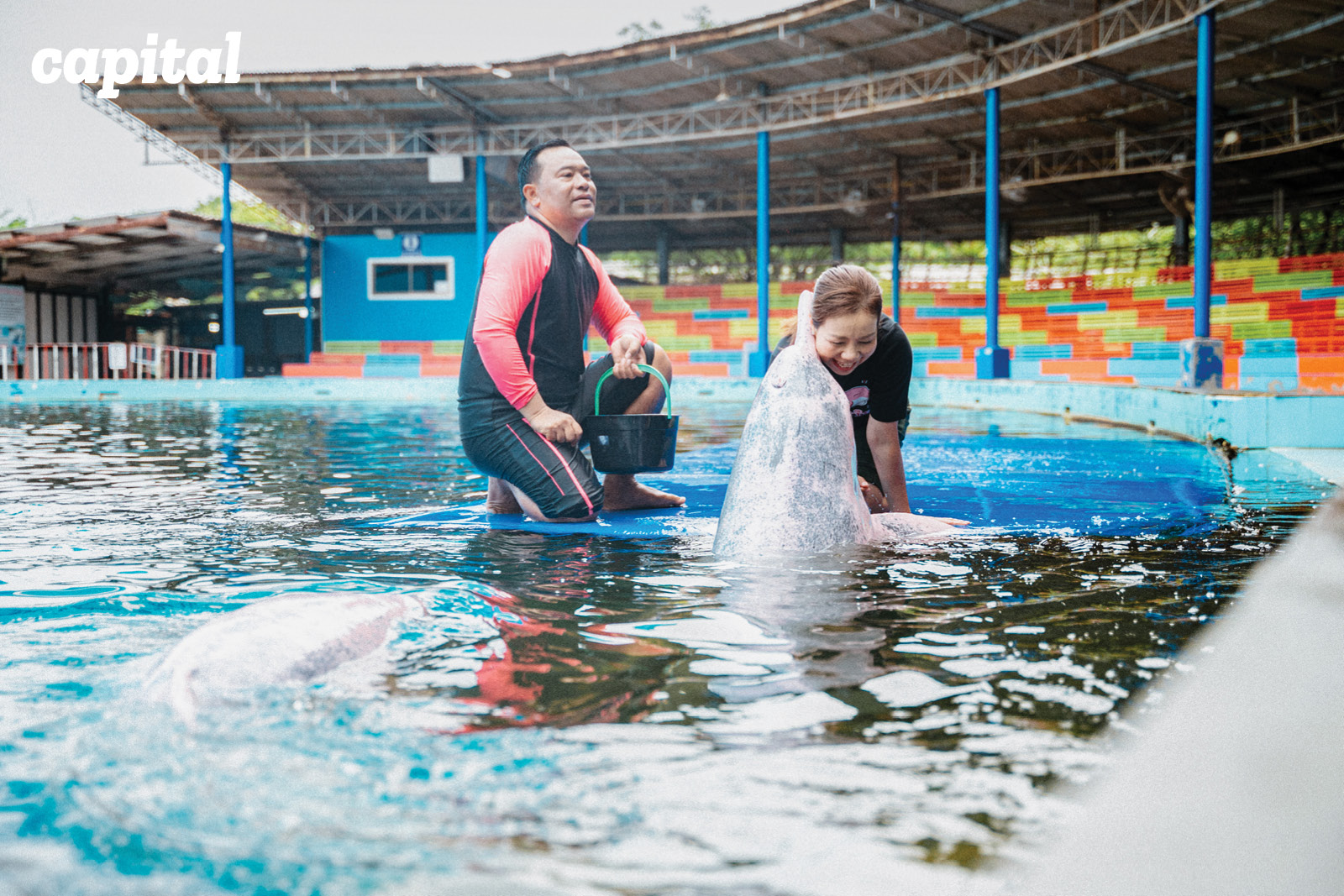 Oasis Sea World จากโลมาติดอวนสู่โชว์โลมาไร้เสียงนกหวีด ที่ใช้ ‘หัวใจ ...
