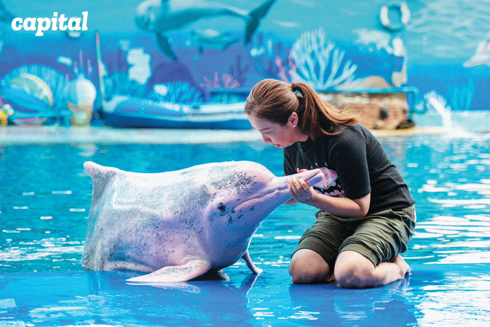 Oasis Sea World จากโลมาติดอวนสู่โชว์โลมาไร้เสียงนกหวีด ที่ใช้ ‘หัวใจ ...