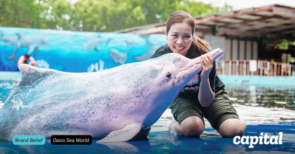Oasis Sea World จากโลมาติดอวนสู่โชว์โลมาไร้เสียงนกหวีด ที่ใช้ ‘หัวใจ ...