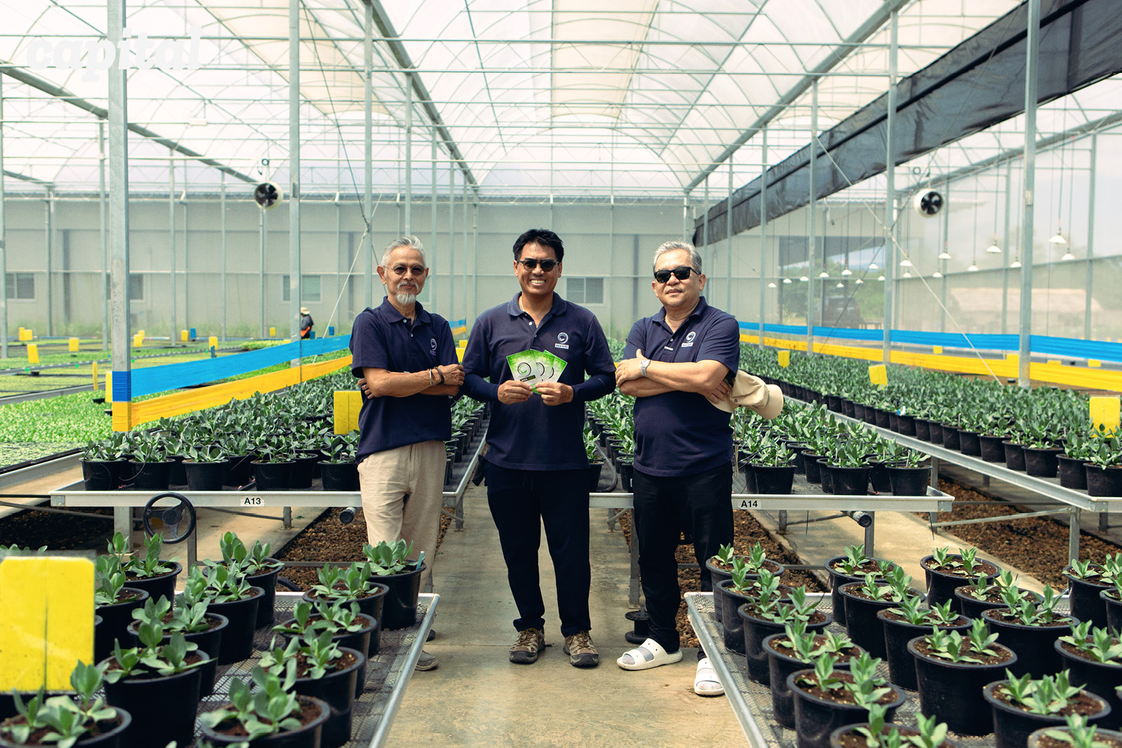 สูตรการเพาะพันธุ์ธุรกิจแบบ AGA AGRO แบรนด์ที่จำหน่ายเมล็ดพันธุ์ให้กับคน ...