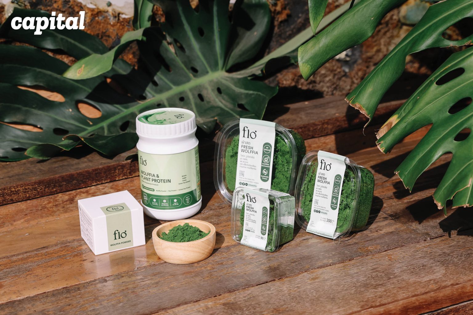 flo Wolffia แบรนด์ผำโดยอาจารย์นักวิจัย ที่อยากดันผำไทยเป็นโปรตีนของโลก ...